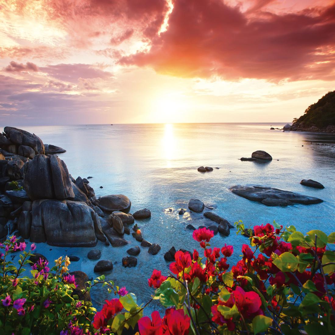 Magenta Sky (square) Wall Art | The Canvas Art Factory Australia – Wall ...